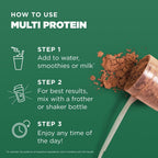 delicious chocolate protein for meal replacement