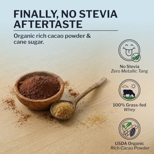 delicious chocolate protein powder