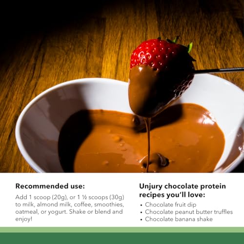 delicious chocolate protein powder