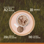 delicious chocolate protein powder