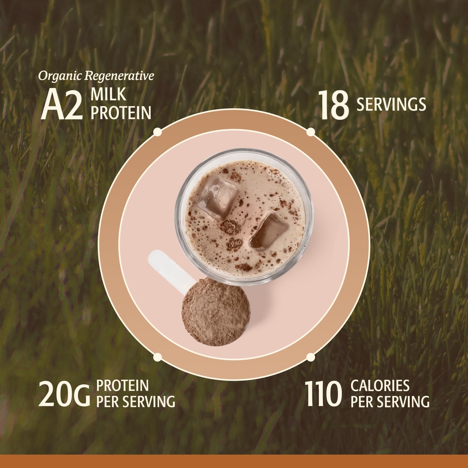 delicious chocolate protein powder