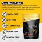 delicious chocolate protein powder