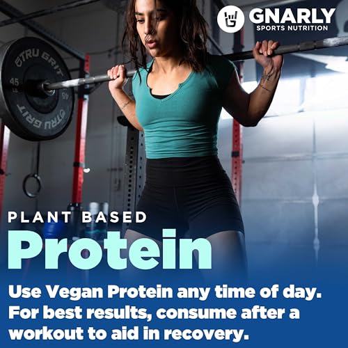 delicious chocolate protein shake mix