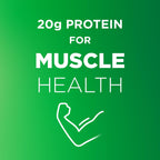 delicious chocolate protein shake option