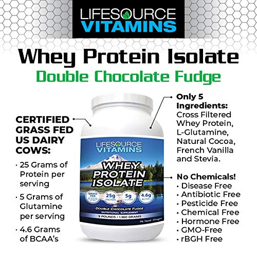 delicious chocolate protein shake