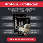 delicious chocolate protein supplement