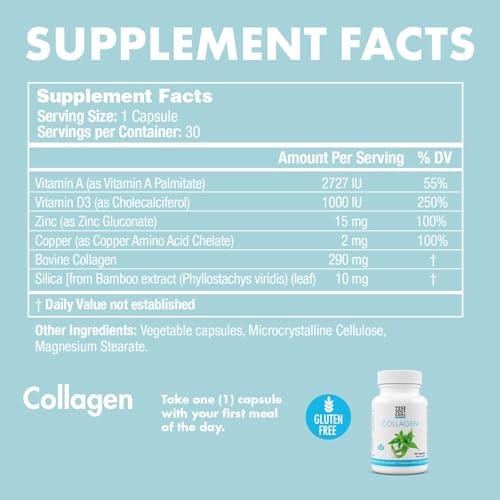 Delicious chocolate protein supplement
