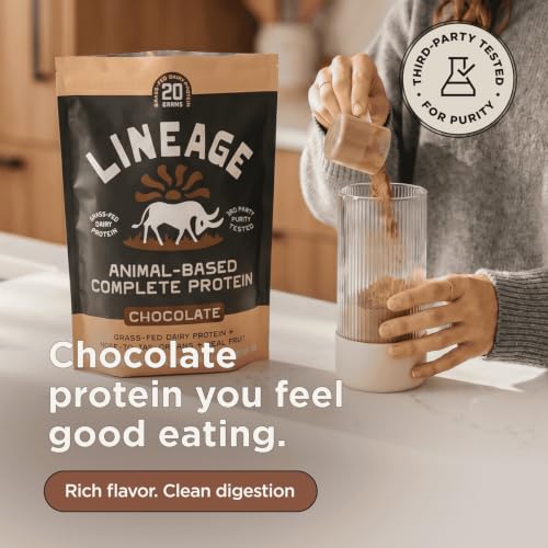 delicious chocolate protein supplement