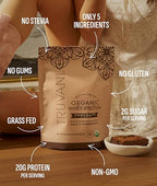 delicious chocolate protein supplement