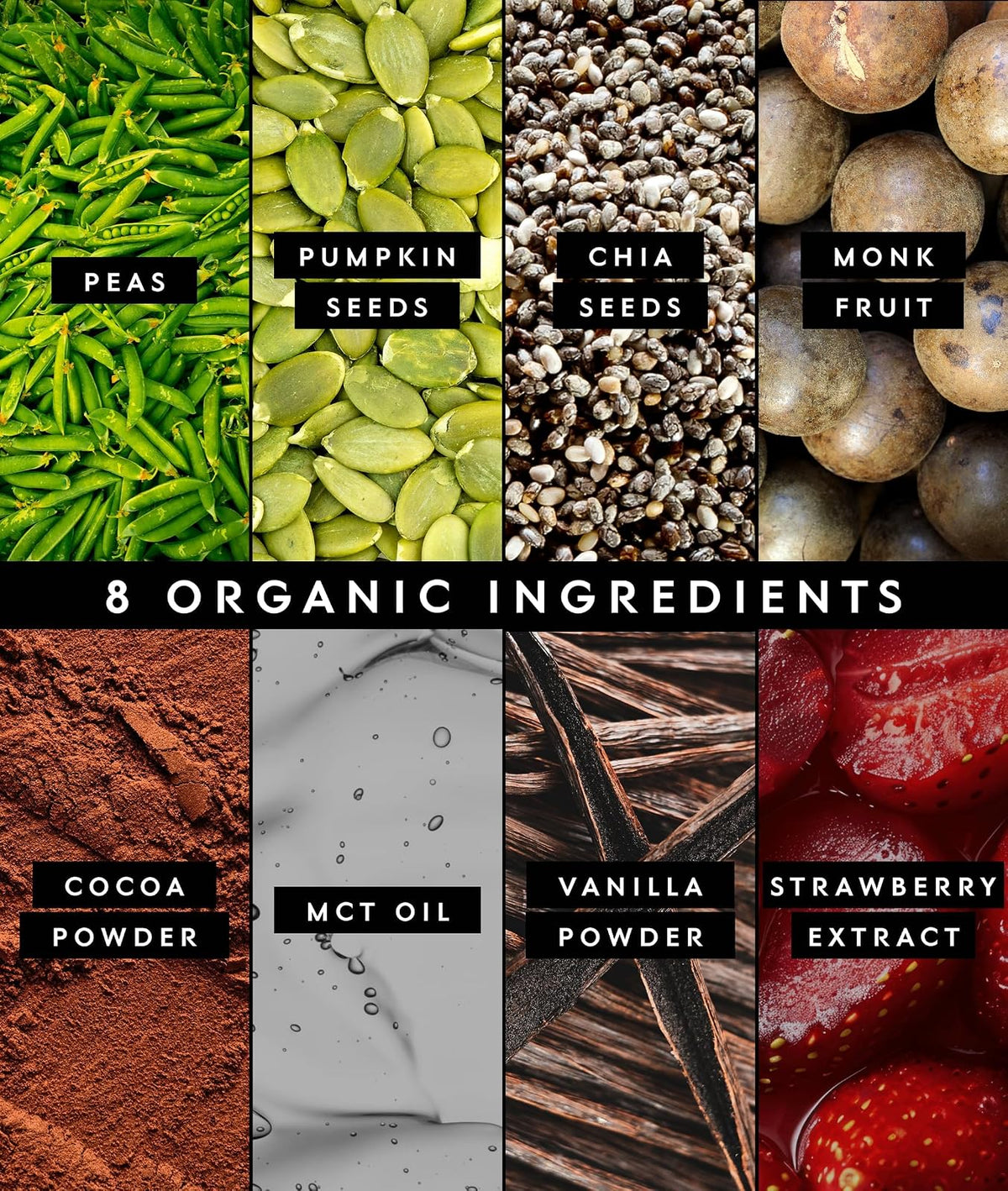 delicious chocolate strawberry plant protein
