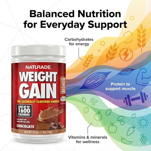 delicious chocolate weight gain supplement