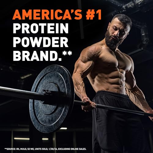 delicious chocolate whey protein powder