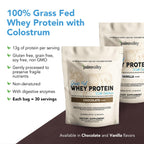 delicious chocolate whey protein powder