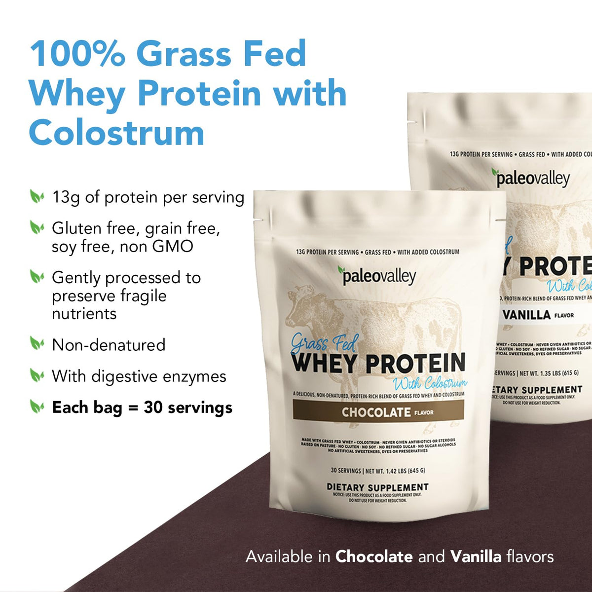 delicious chocolate whey protein powder