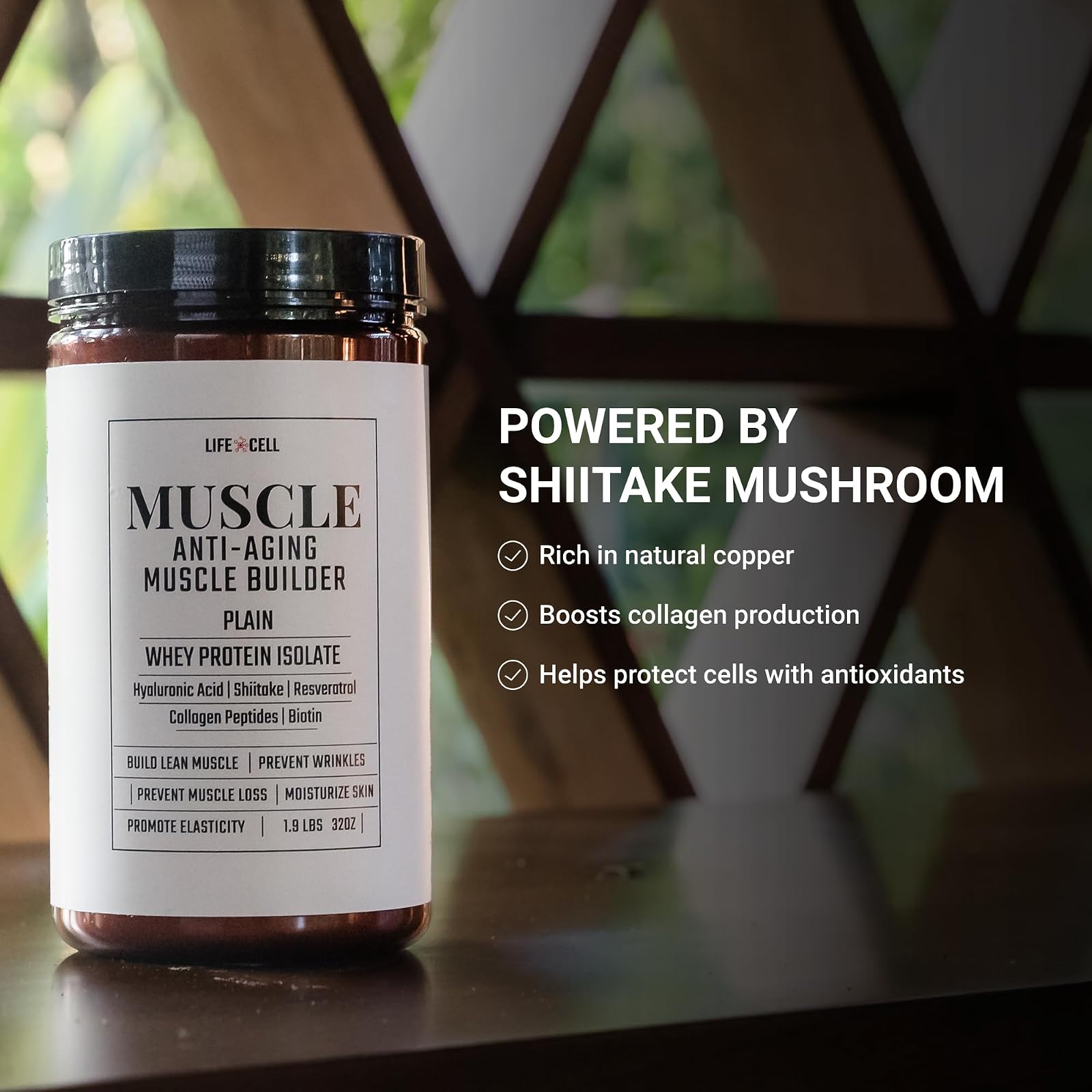 delicious chocolate whey protein shake