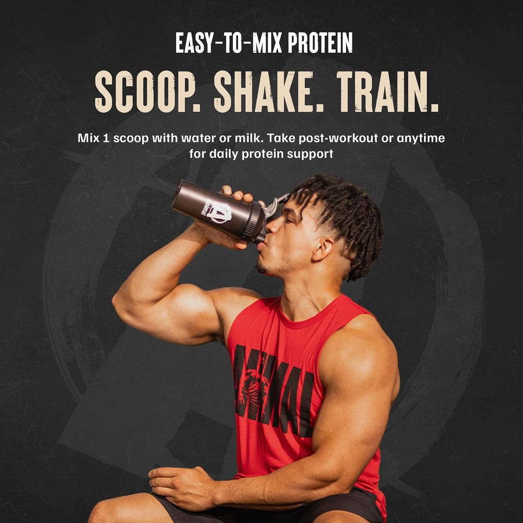 delicious chocolate whey protein