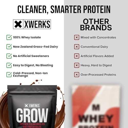 delicious chocolate whey protein