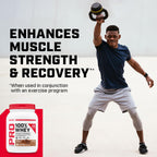delicious chocolate whey protein