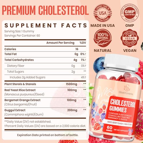 delicious cholesterol supplement gummies for energy