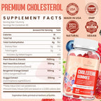 delicious cholesterol supplement gummies for energy