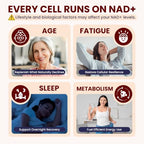 delicious collagen peptides for wellness