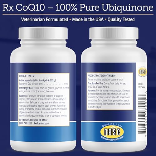 delicious CoQ10 for daily wellness