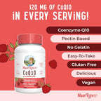 delicious coq10 gummy vitamins