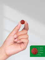 delicious cranberry gummies for wellness