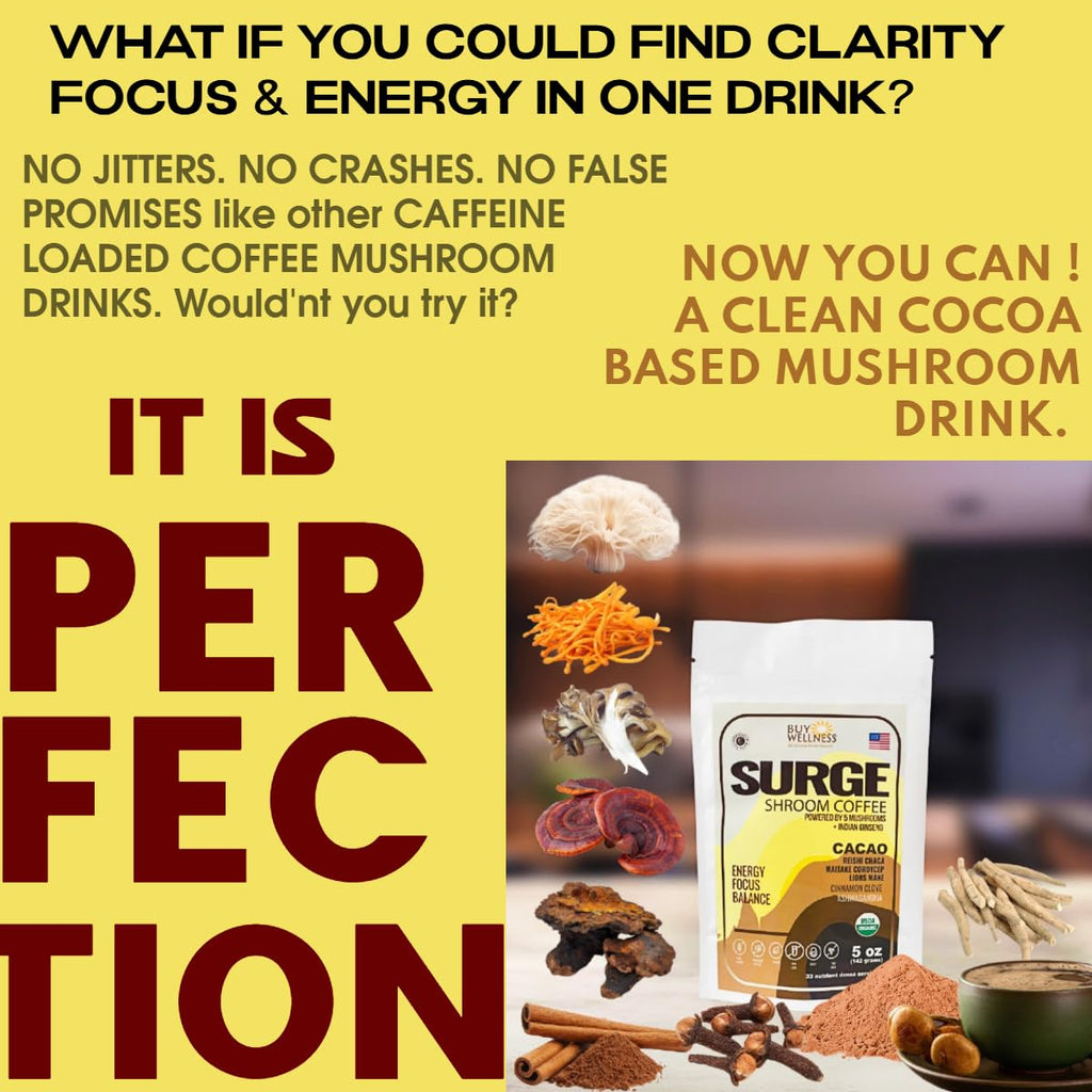 delicious dark cacao mushroom supplement