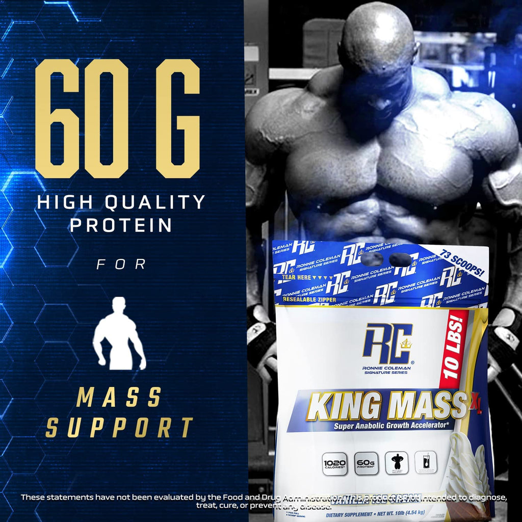 delicious dark chocolate protein powder