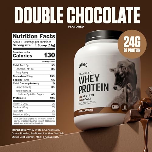 delicious double chocolate protein