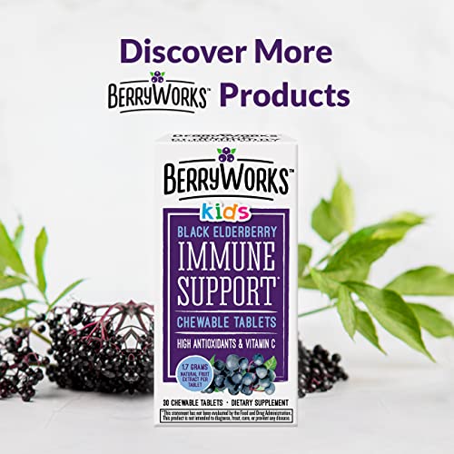 delicious elderberry chewables for kids