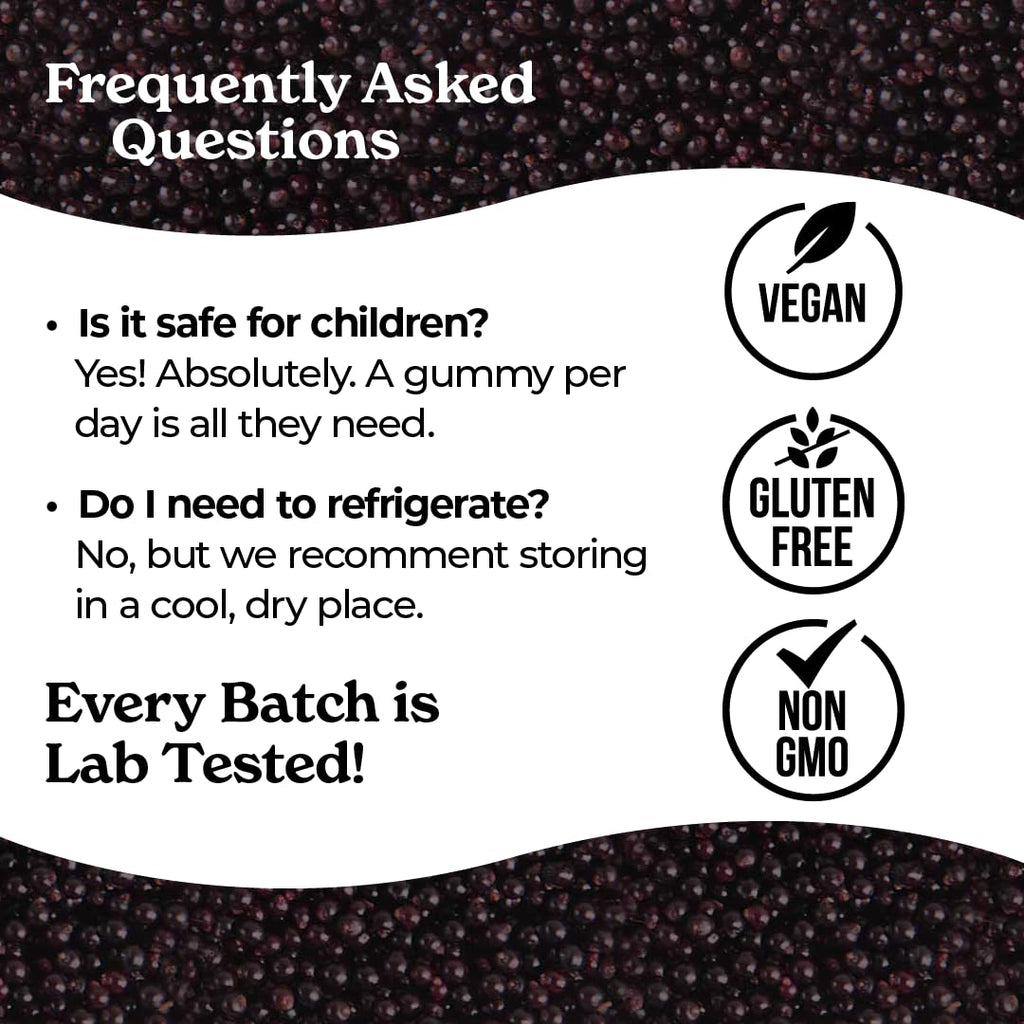 delicious elderberry fruit extract