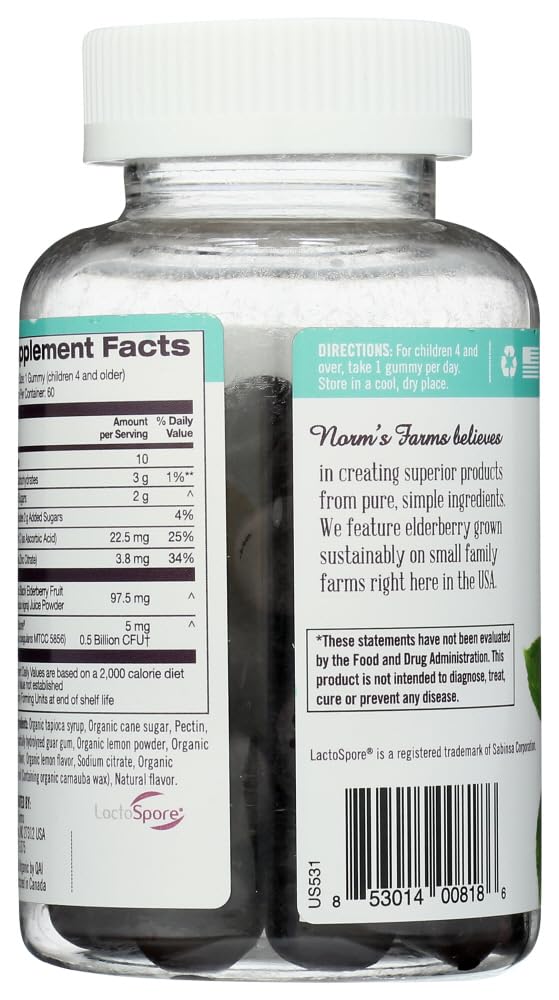 delicious elderberry gummies for daily health