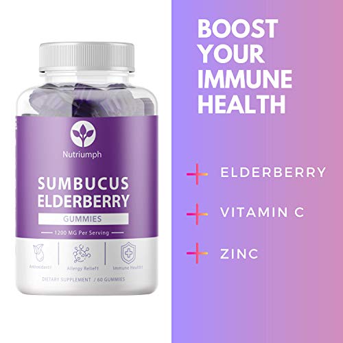 Delicious elderberry gummies for daily health