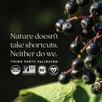 delicious elderberry gummies for daily health