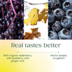 delicious elderberry gummies for health