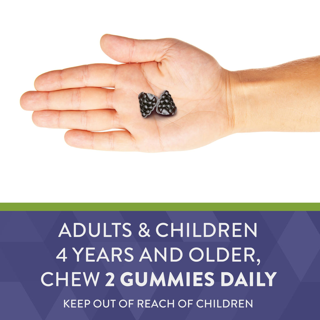 delicious elderberry gummies for healthy living