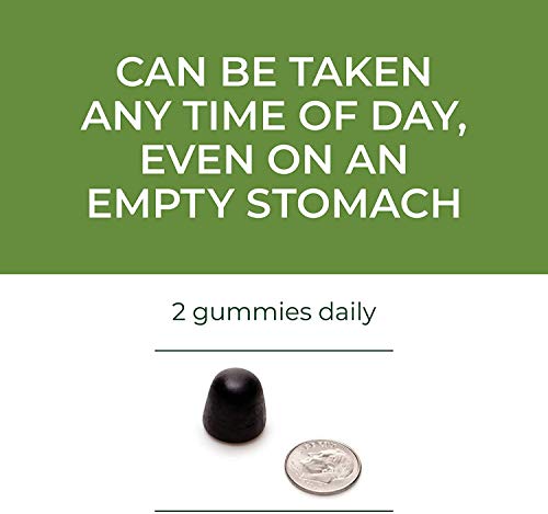 delicious elderberry gummies for immunity