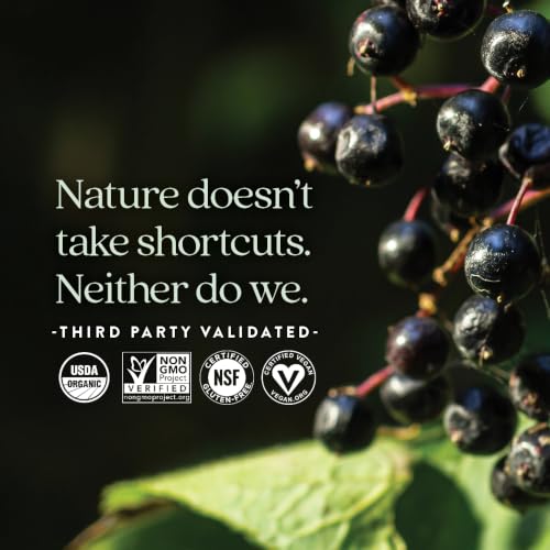 delicious elderberry gummies for kids' wellness
