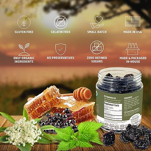 delicious elderberry gummies for kids