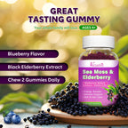 delicious elderberry gummies for kids