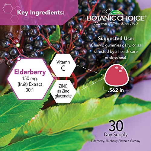 delicious elderberry gummies for kids
