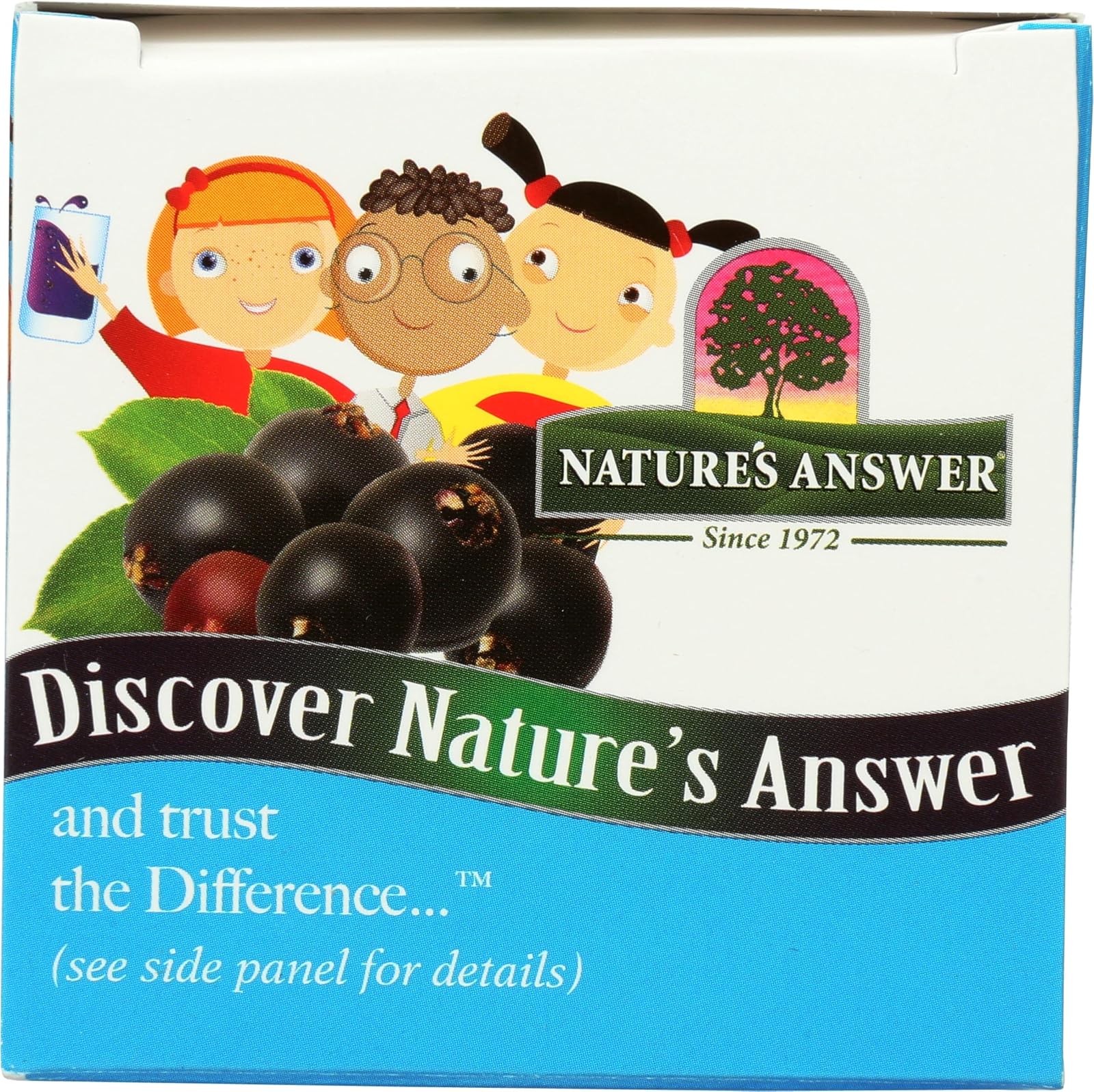 delicious elderberry gummies for kids