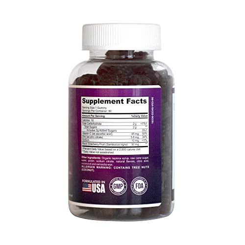 delicious elderberry gummies for kids