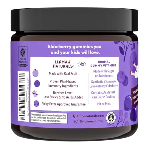 delicious elderberry gummies for kids