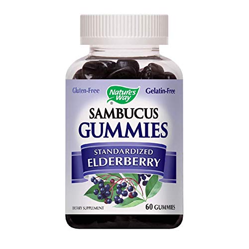 delicious elderberry gummies for kids