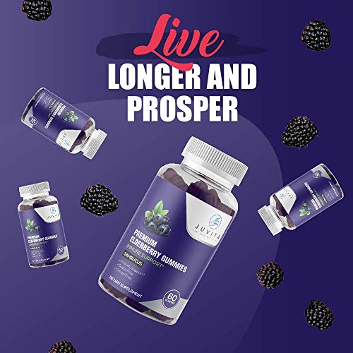 delicious elderberry gummies for wellness