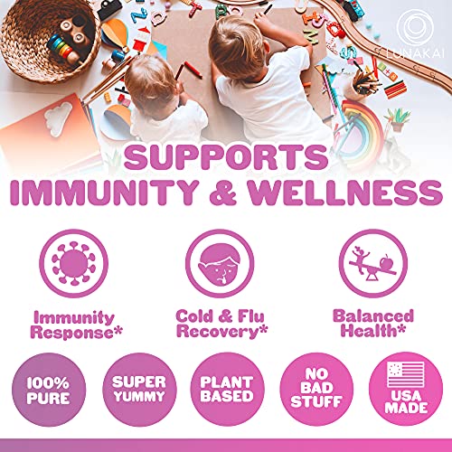 delicious elderberry gummy supplements