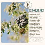 delicious elderberry immune support